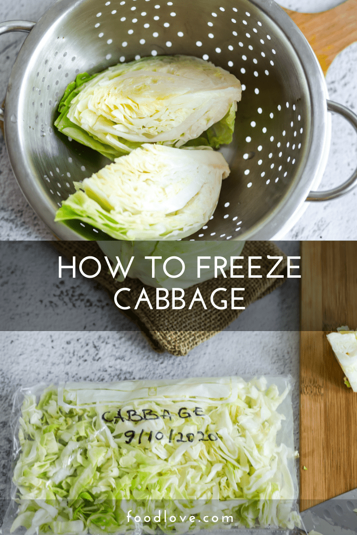 How To Freeze Cabbage: Raw, Cooked, and Blanched | FoodLove.com